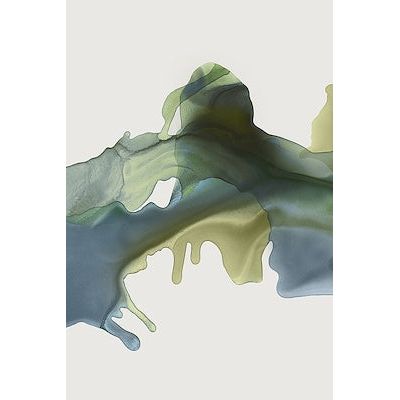 FOSSA I – OC Art and Home